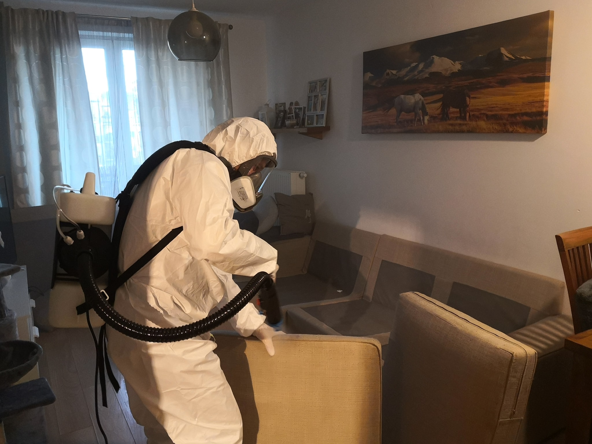 DanKub Dezynfekcja, Dezynsekcja, Deratyzacja | Usługi DDD